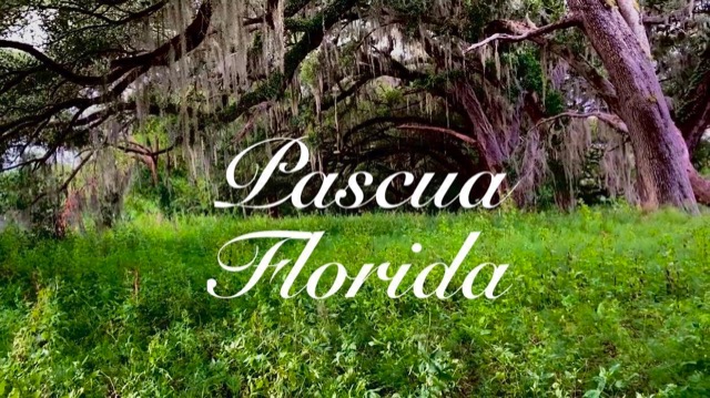 Pascua Florida | Traditional Catholic Community Coming Soon!